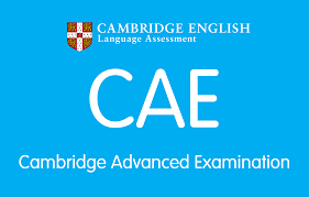 Cambridge Advanced Practice Tests Plus Volume 1 W/a (+ Online Resources ...