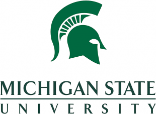 Msu Practice Tests B2 Student's Book, (+ Digibooks App) - Express ...