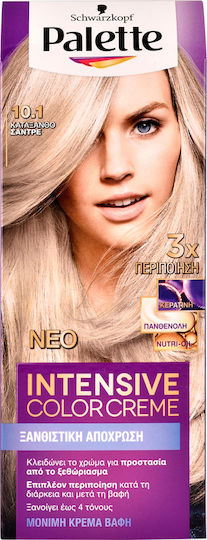 Palette intensive color creme 10.1 store
