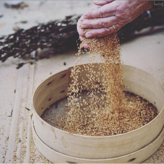 Vio Agros Complete Organic White Sesame Unshelled 350gr | Skroutz.mt