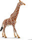 Schleich-S Wild Life Giraffe Male για 3+ Ετών 17εκ. 14749 | Skroutz.gr