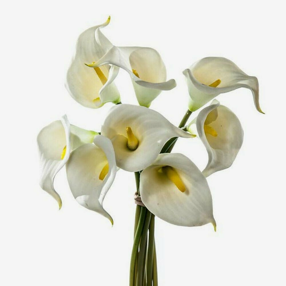 Supergreens Μπουκέτο από Τεχνητά Φυτά Κάλλα Λευκό 35cm 7-0653 | Skroutz.gr