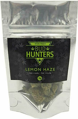 Bud Hunters Lemon Haze Ανθός Κάνναβης Limited Edition με 22% CBD 1gr ...