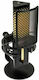 Endgame Gear Xstrm Elektret Mikrofon USB Tischplatte für Gesang ...