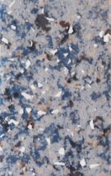 Πλαστικά Δάπεδα Βινυλίου - Σελίδα 2 | Skroutz.gr