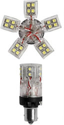 Λάμπες Αυτοκινήτου Simoni Racing για Φώτα Όπισθεν | Skroutz.gr