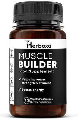 Herboxa Muscle Builder 60 φυτικές κάψουλες | Skroutz.gr
