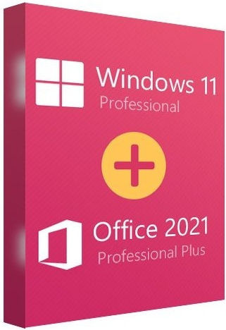 Microsoft Windows 11 Professional + Office 2021 Pro Plus 1 Licence ...