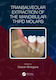 Transalveolar Extraction Of The Mandibular Third Molars | Skroutz Bücher