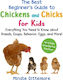 The Best Beginner's Guide To Chickens And Chicks For Kids: Everything ...