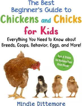 The Best Beginner's Guide To Chickens And Chicks For Kids: Everything ...