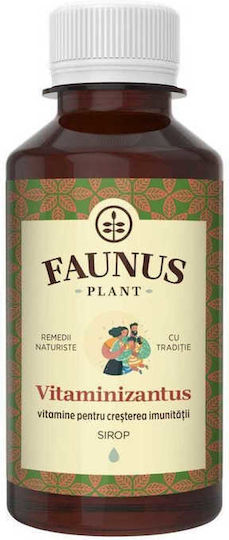 Vitamin Syrup Vitamins Immunity Boost 200ml Faunus Plant | Skroutz.gr